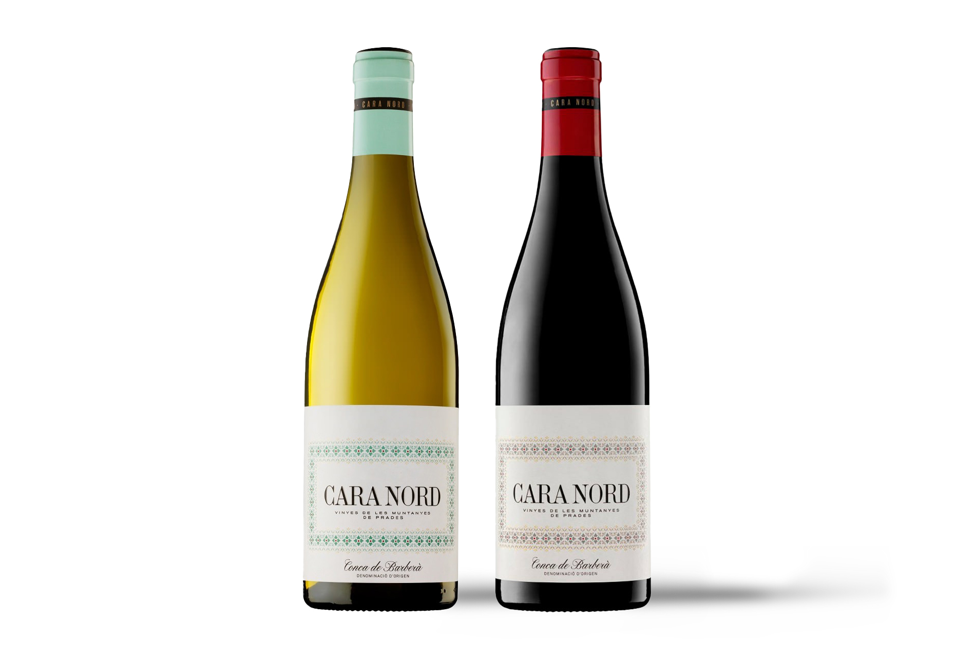 Cara Nord by Tomàs Cusiné